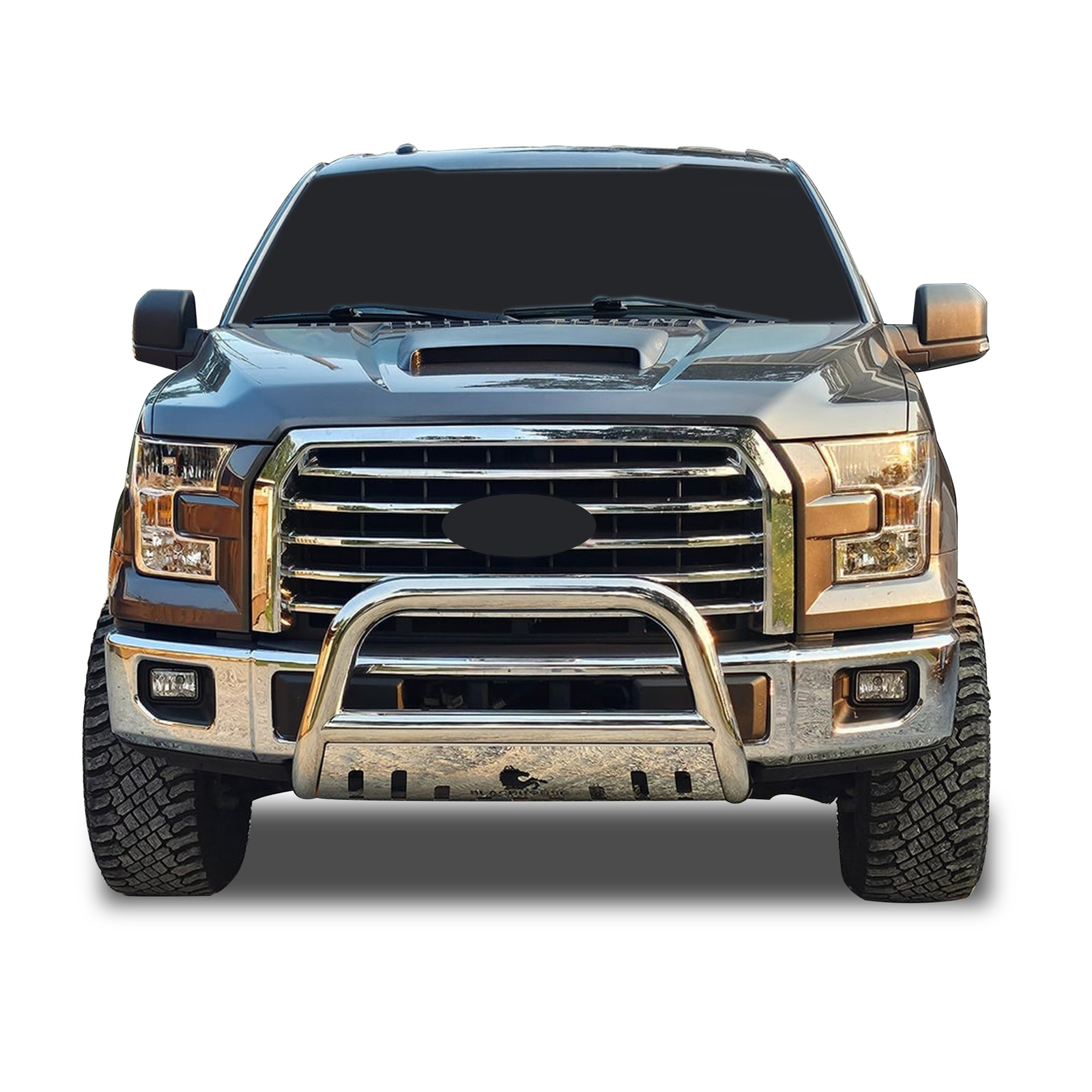 Black Horse Bull Bar Push Bar w/Skid Plate stainless fits 2004-2024 ...