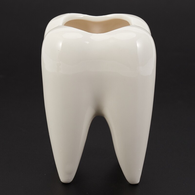 Tooth Shape White Ceramic Flower Pot Modern Design Planter Teeth Model ...