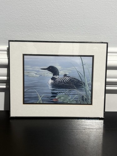 Luke Raffin “Loon Family” Framed Wall Mounted Bordered Print, 10" x 8 ...