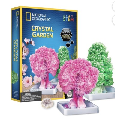 National Geographic - STEM - Crystal Garden Crystal Growing Kit - Ages ...