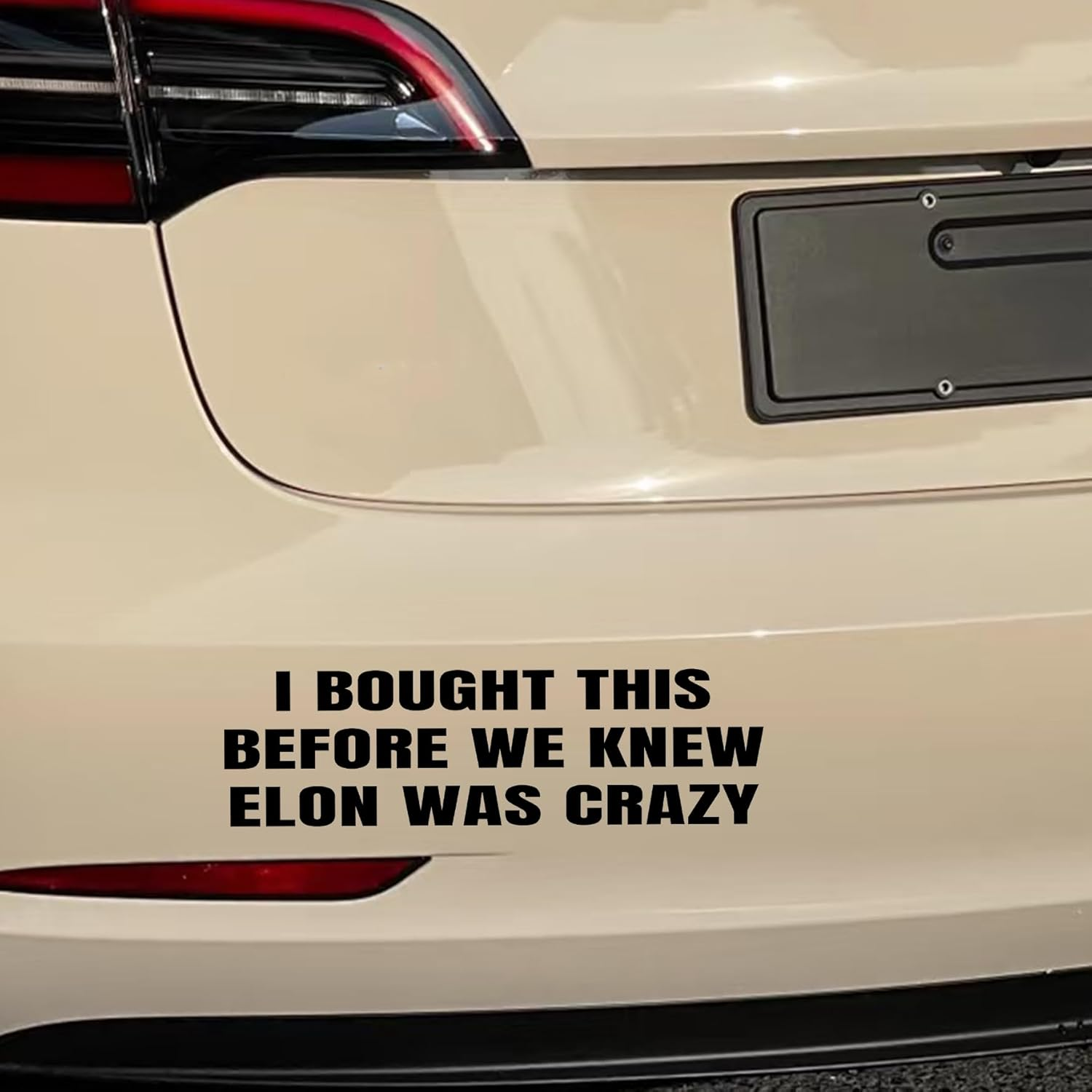 Anti Elon Car Decal Bumper Sticker I Bought This Before We Knew Elon ...