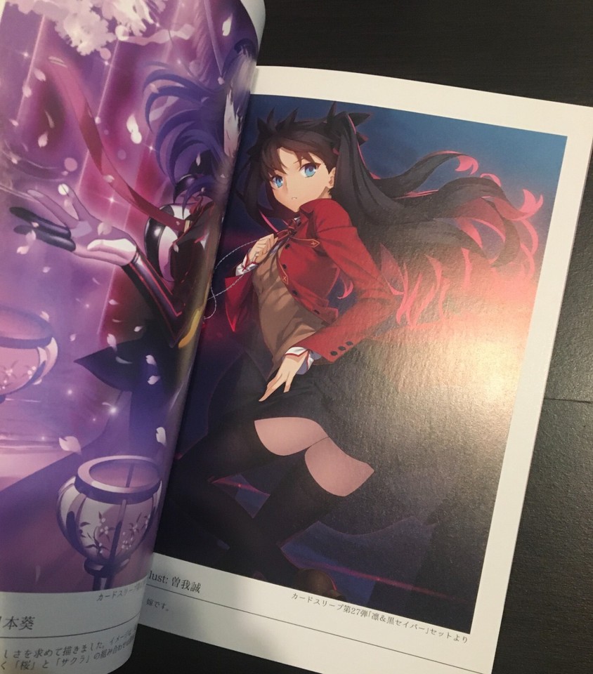 The Catalyst Collection FGO Fate Grand Order Doujinshi Illustration Art ...