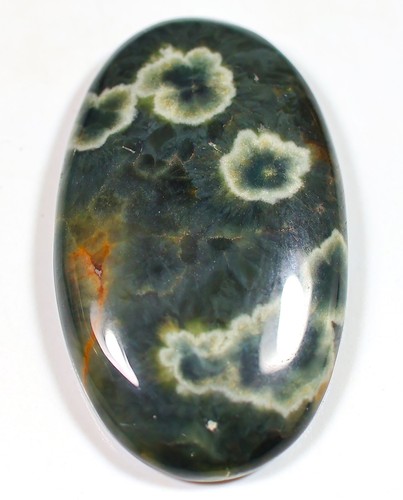 58 CT 6X25X41 mm NATURAL ORBICULAR OCEAN JASPER OVAL CABOCHON GEMSTONE ...