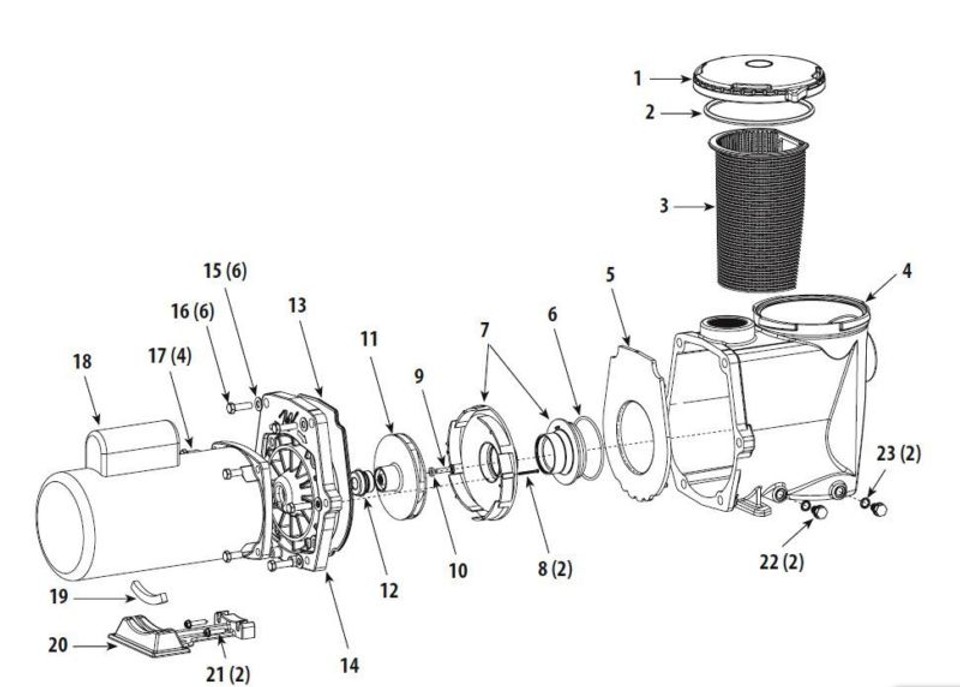 Waterway SMF Champion in-ground pool pump 0.75HP 115/230V single speed ...
