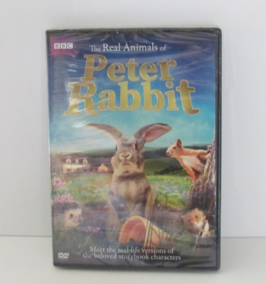 BBC The Real Animals of Peter Rabbit DVD - NEW & Sealed | eBay