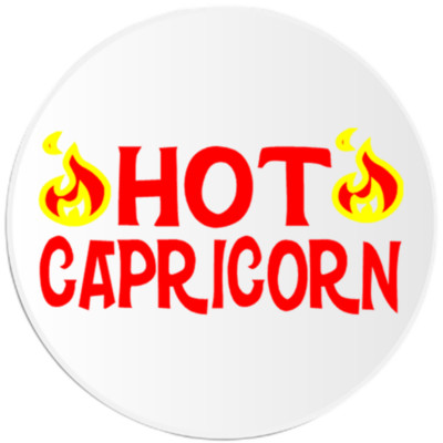 Hot Capricorn - 3 Pack Circle Stickers 3 Inch - Horoscope Birthday ...