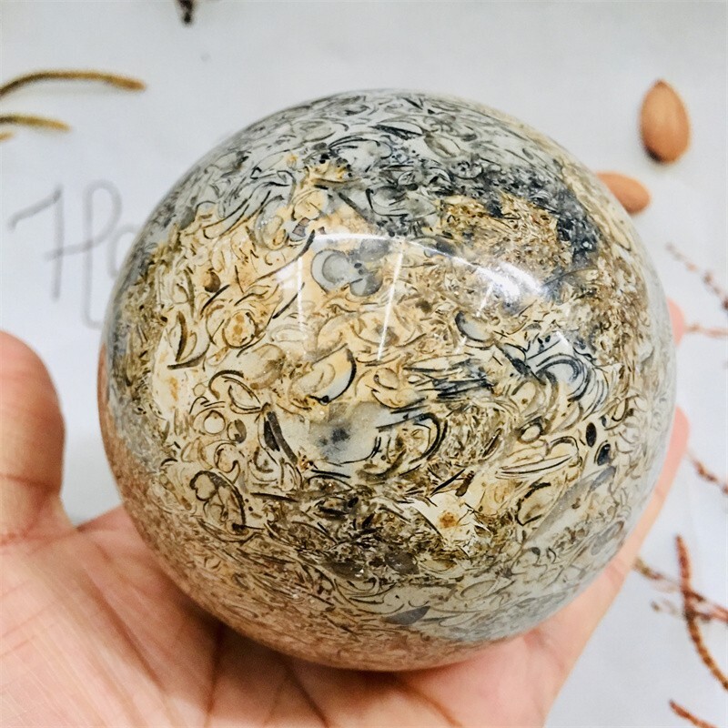 0.71kg fossil sphere home Decorative products crystal | eBay