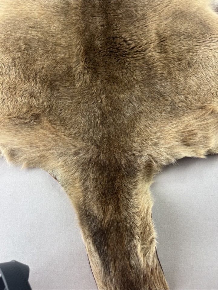 Genuine Australian Tanned Kangaroo Skin Fur Pelt Leather Hide w Tail 58 ...