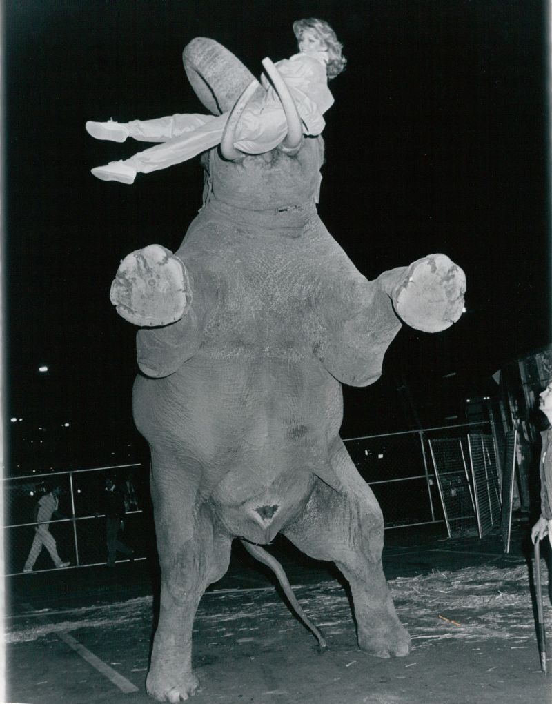 Lot of (9) 1980s DEIDRE HALL, EMMANUEL LEWIS & MIKE DUBELKO Original ...