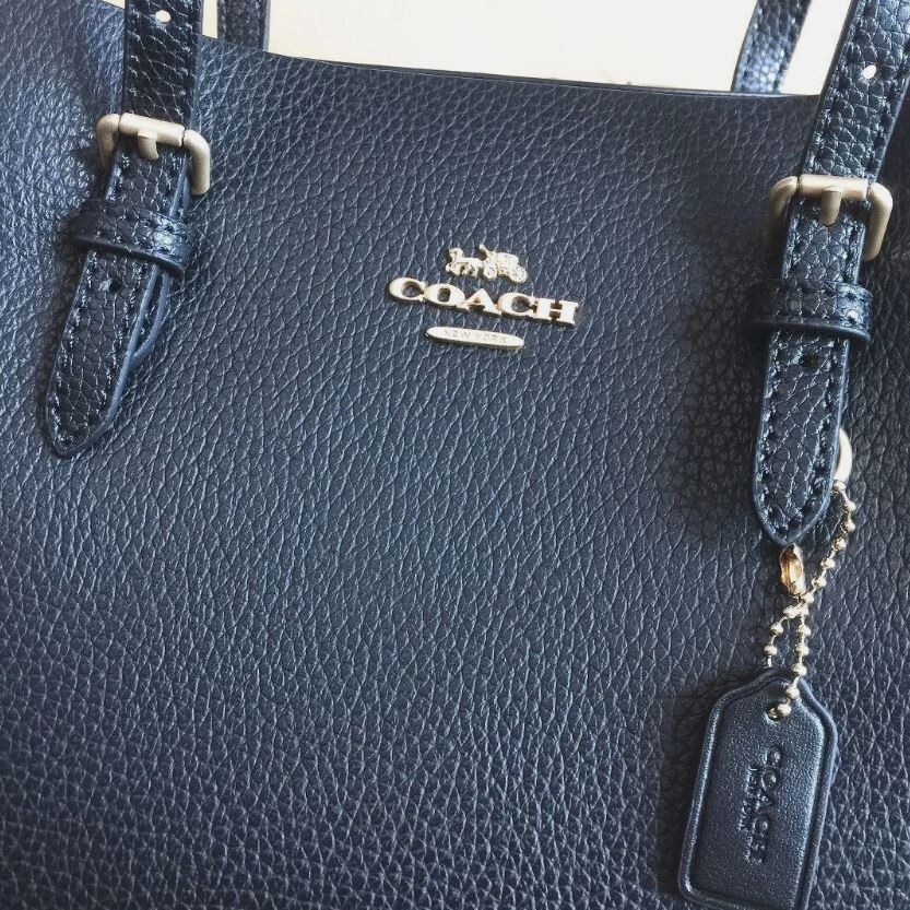 Coach Women’s hand bag C4084 IMF2L MOLLIE TOTE 25 2Way Shoulder Bag New ...