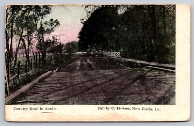 Country Road in Acadia Parish New Iberia Louisiana 1907 Postcard | eBay