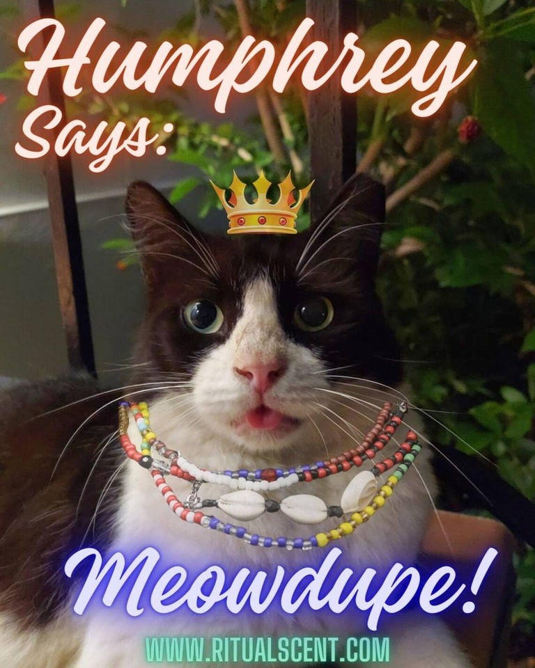 Babalu beads Rosary San Lazaro Azowano Babalu Aye omolu Saint Lazarus ...