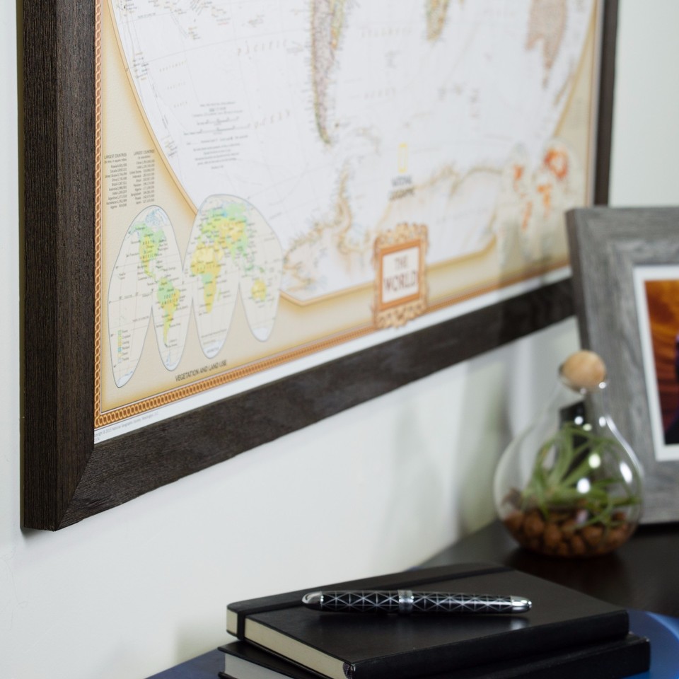 Craig Frames, Executive World Push Pin Travel Map with Pins - 24 x 36 ...