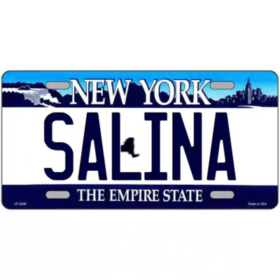 Salina New York Blue Metal Sign | eBay
