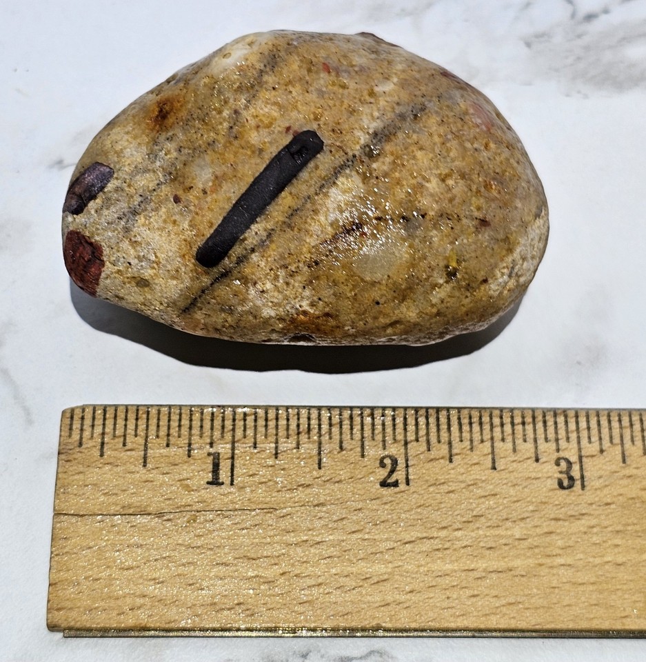 Michigan Pudding Stone Rock Conglomerate 7.2 Oz Jasper Fast Shipping | eBay