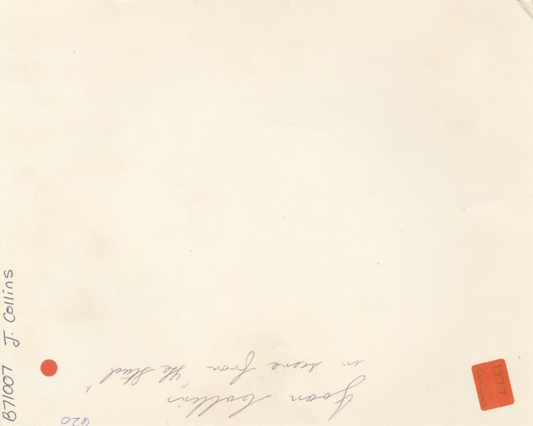 Joan Collins The Stud Risque Nude Swimming Pool Swing Scene Original ...