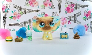 LPS Littlest Pet Shop Rare Authentic Pug Puppy Dog 623 & Accessories | eBay