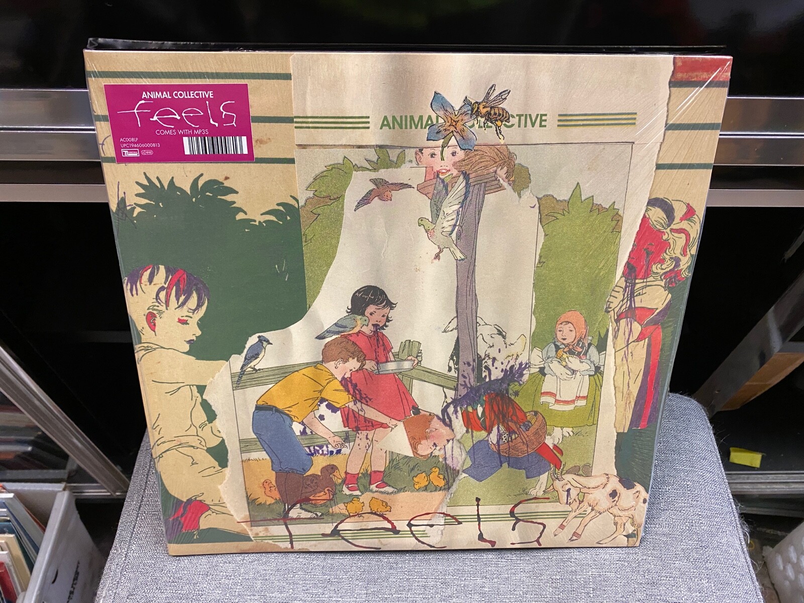 Animal Collective Feels