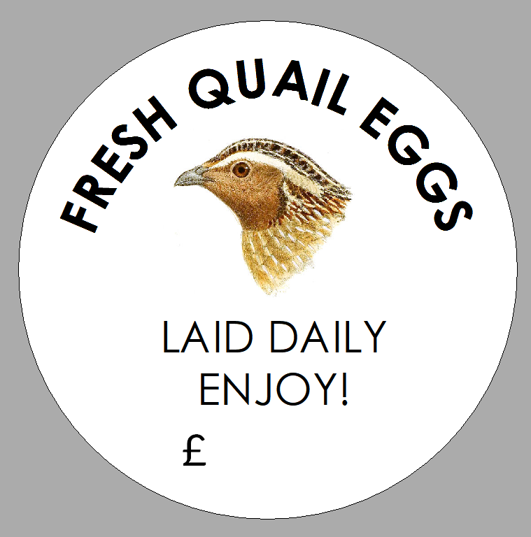 Personalised Coturnix Quail Egg Box Stickers, Round Sticky Egg Carton ...