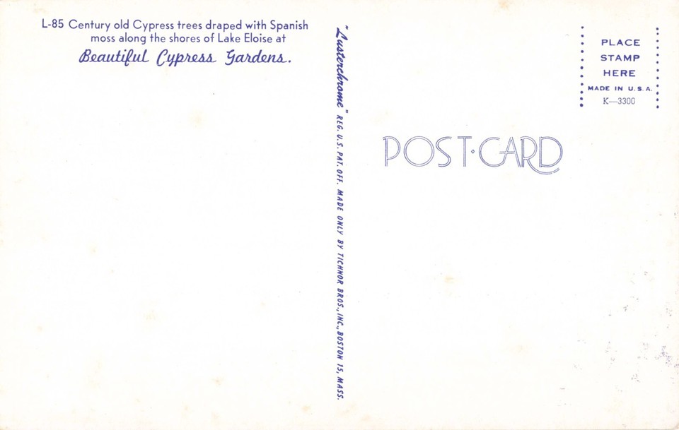 Cypress Gardens Florida, Lake Eloise Cypress Trees Spanish Moss Vintage ...