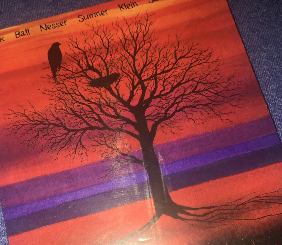 Tony Hawk DVD “The Beginning”. Plus “Tony Hawk Secret Skatepark Tour 2 ...