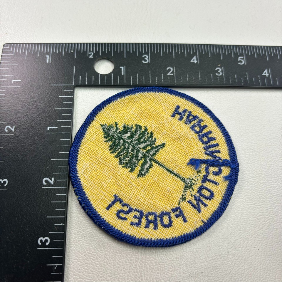 Vintage Possibly Girl Scouts? HARRINGTON FOREST Patch 39P7 | eBay