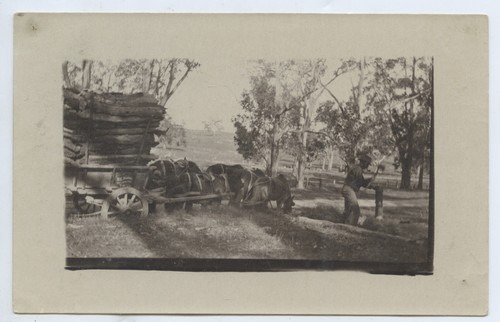 1908 NPU RP POSTCARD H G HARRIS WILLIAMSTOWN LOG HAULING/FENCE BUILD S ...