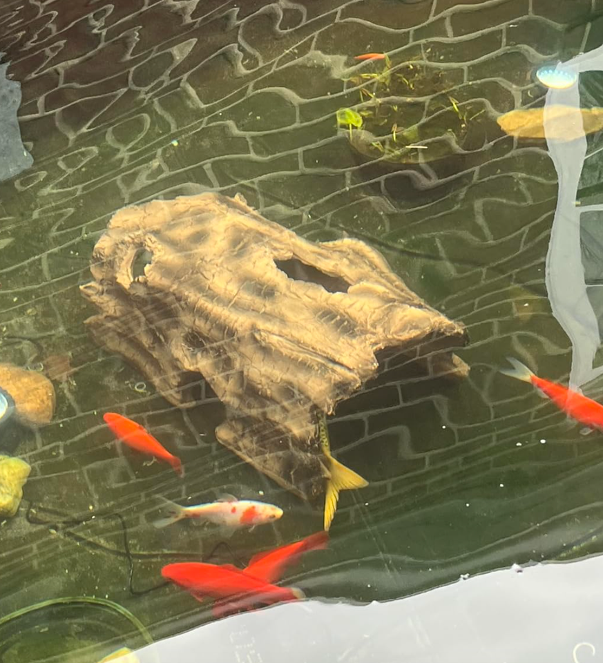 Hiding Place Fish Protector Koi Pond Realistic Faux Log Fish Cave ...
