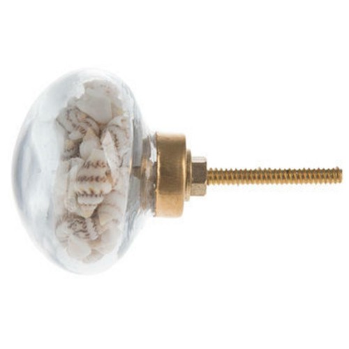 2 Live Seashell Filled Glass Drawer Pulls Knobs Cabinet Handles Gold ...