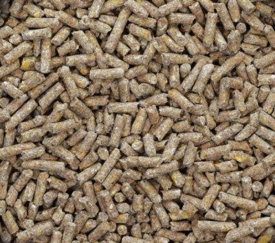All Flock Pellet Poultry Feed Chicken Duck Turkey | eBay