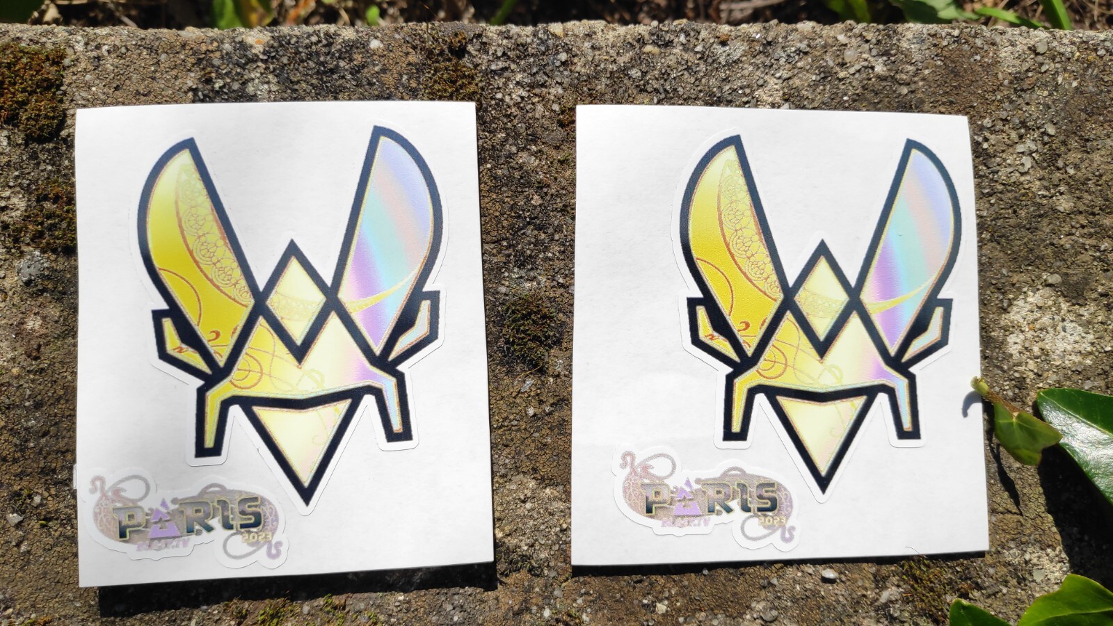 Vitality Holo Paris 2023 CSGO CS Counter Strike Sticker (No Effect) | eBay