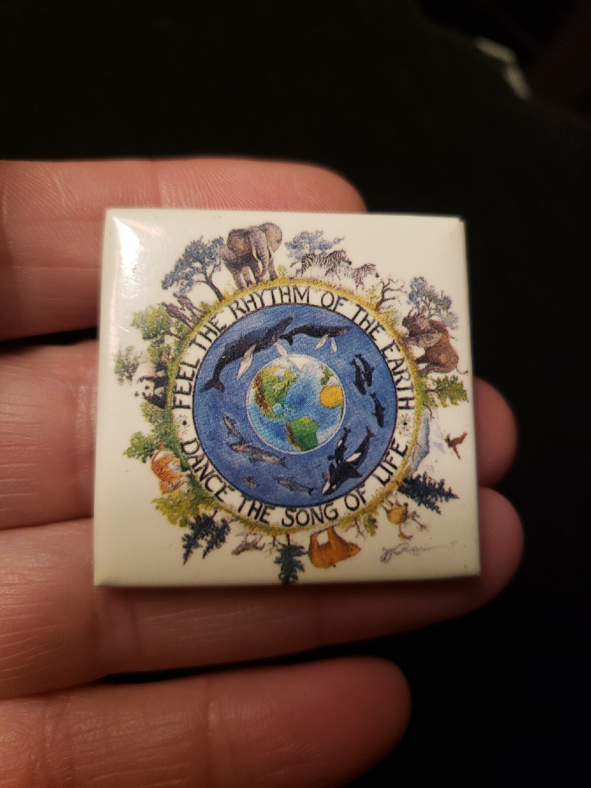 1991 Earthly Concerns Pin Back Feel The Rhythm Of The Earth Dance EARTH ...