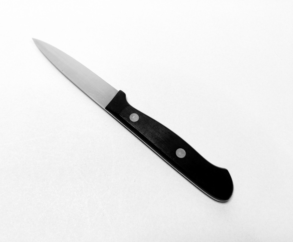 WUSTHOF Gourmet 4022 Paring Knife 3" Blade Made in Germany Solingen | eBay