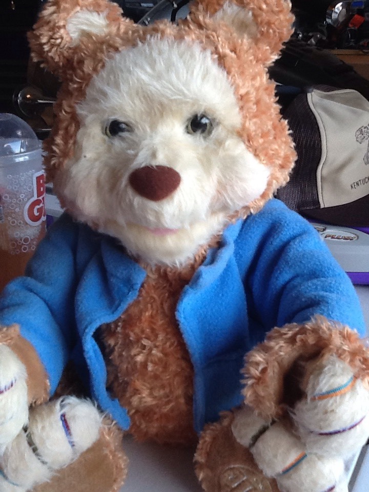 TJ Bearytales Teddy Bear Playskool Talking Moving Stuffed Animal 2 ...