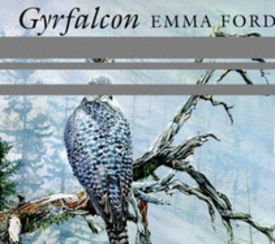 Ship Gyrfalcon Book Emma Ford Falcon Falconry Woodcarving Reference Art ...