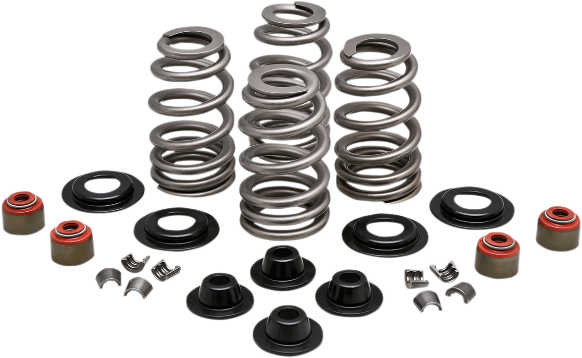 KW Intake Exhaust Valve Spring Kit .610in Lift Harley Softail Deuce 05 ...