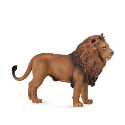 Collectible CollectA African Lion Action Figure Large Ages 3 Years and ...