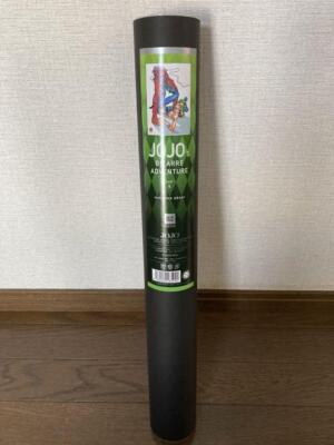 JoJos Bizarre Adventure Part 6 Jolyne B2 Poster Exhibition Limited ...