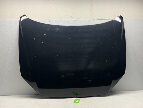 2012-2014 Volkswagen Passat Front Hood Panel / Hood Assembly | OEM ...