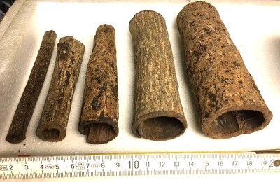 Sea Almond Bark Tube 1-6cm Ø Catappa Bark Catfish Cave Spawn SHELTER ...
