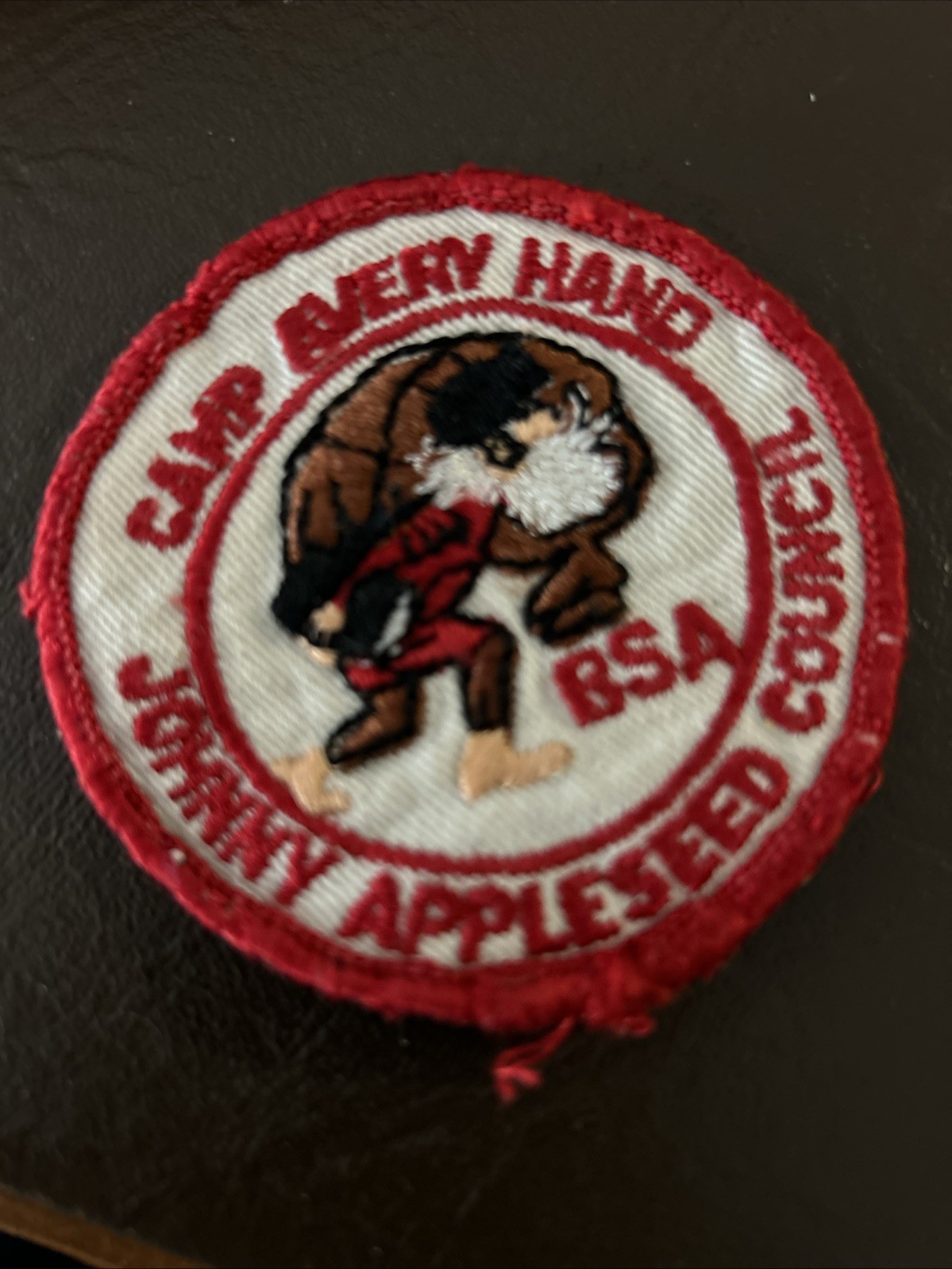 Camp Avery Hand Johnny Appleseed Council Boy Scouts Of America Patch | eBay