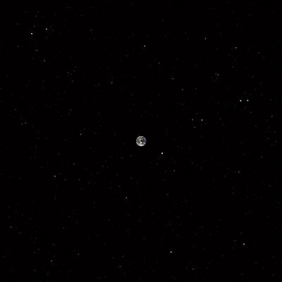 Hope by Marc Ribot's Ceramic Dog (CD, 2021) for sale online | eBay ...