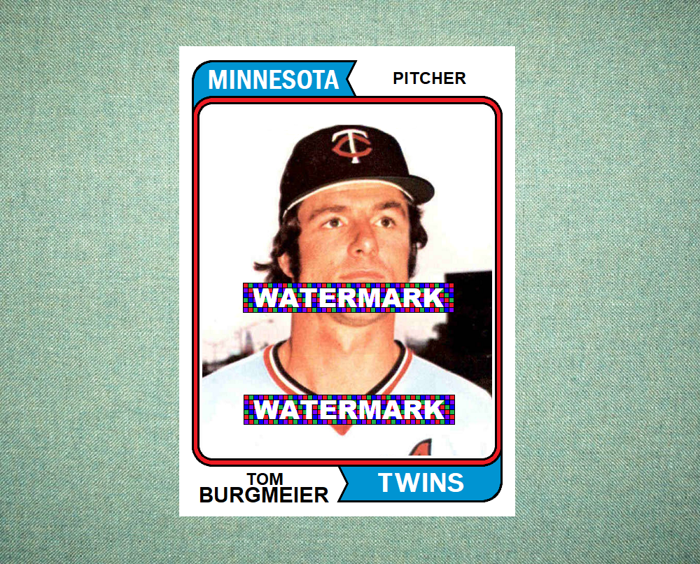 Tom Burgmeier Minnesota Twins 1974 Style Custom Baseball Art Card | eBay