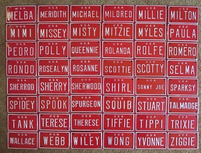 U S A Mini Bike Bicycle Vanity Metal Red License Plate Sign Melba ...
