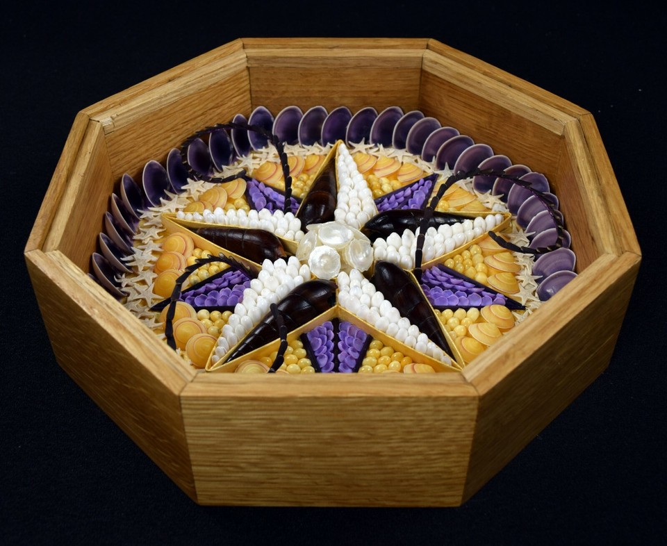 Seashell Art SAILORS VALENTINE 7” Octagon Shell Mosaic - North Star | eBay