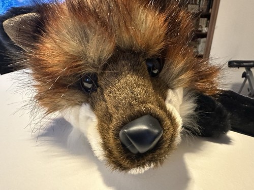 Plush Red Fox Realistic 33” DITZ Designs By The Hen House Weighted Paws ...