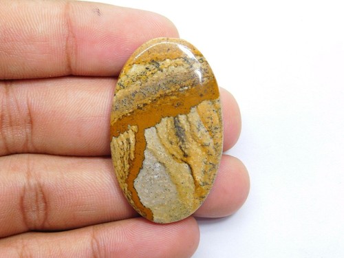 Top Grade Natural African Picture Jasper Cabochon Loose Gemstone 51 Cts ...