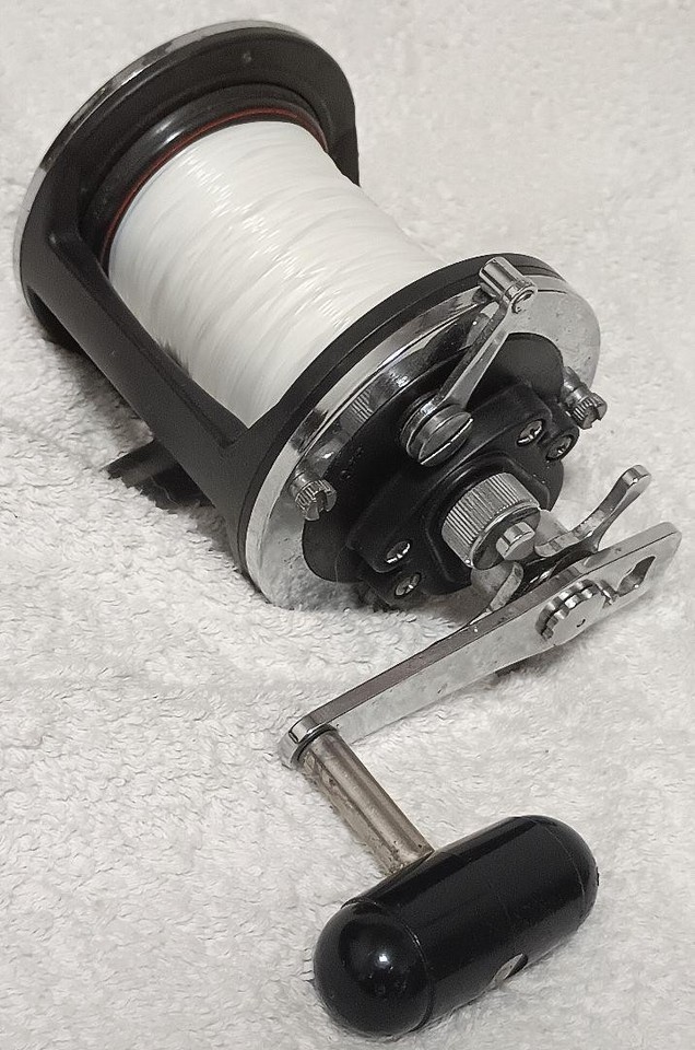 Daiwa Sea Line 50H Double Axis Reel Saltwater Fishing, Used | eBay