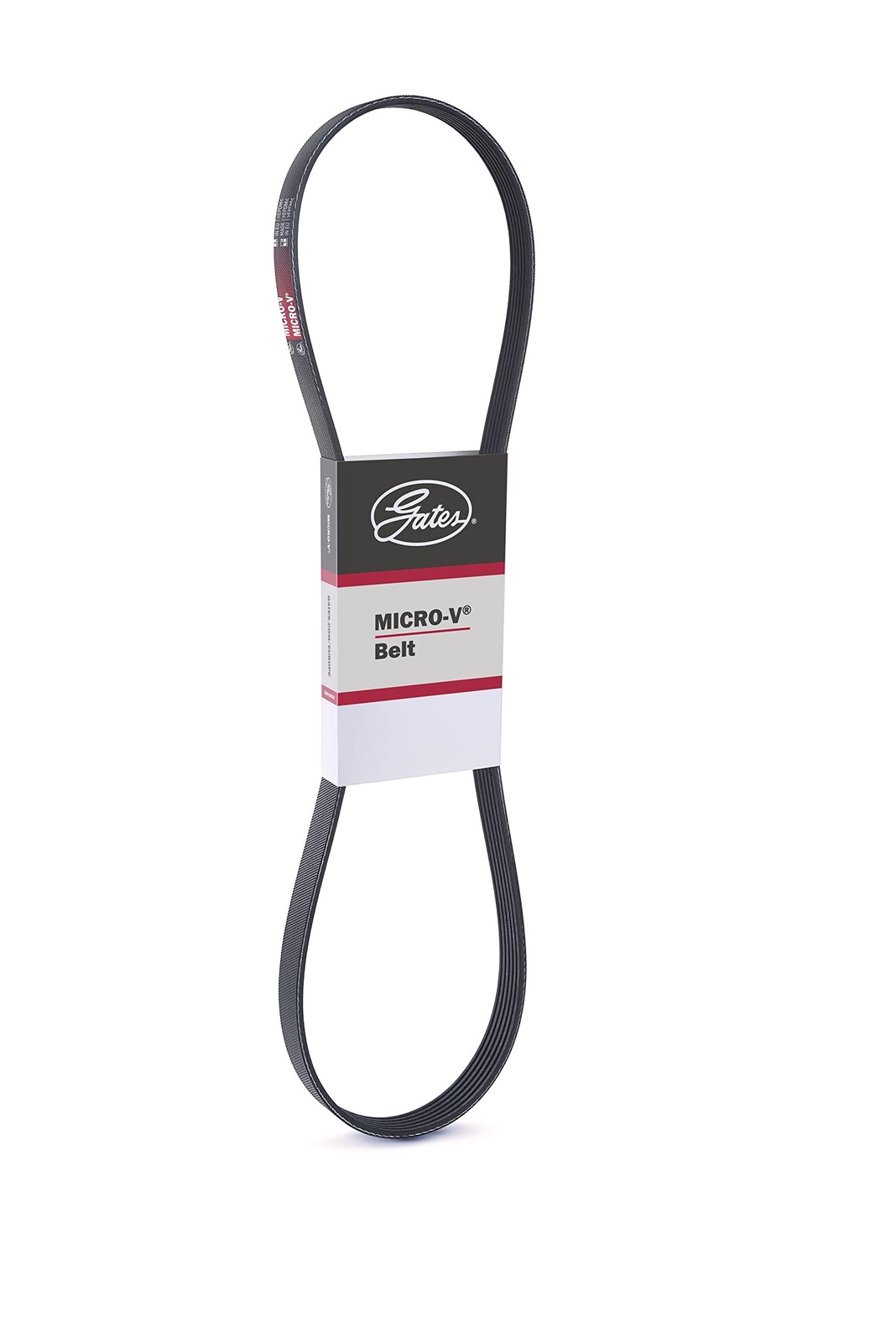 Gates Micro-V Multi-Ribbed Belt fits Mercedes-Benz C C180 Kompressor ...