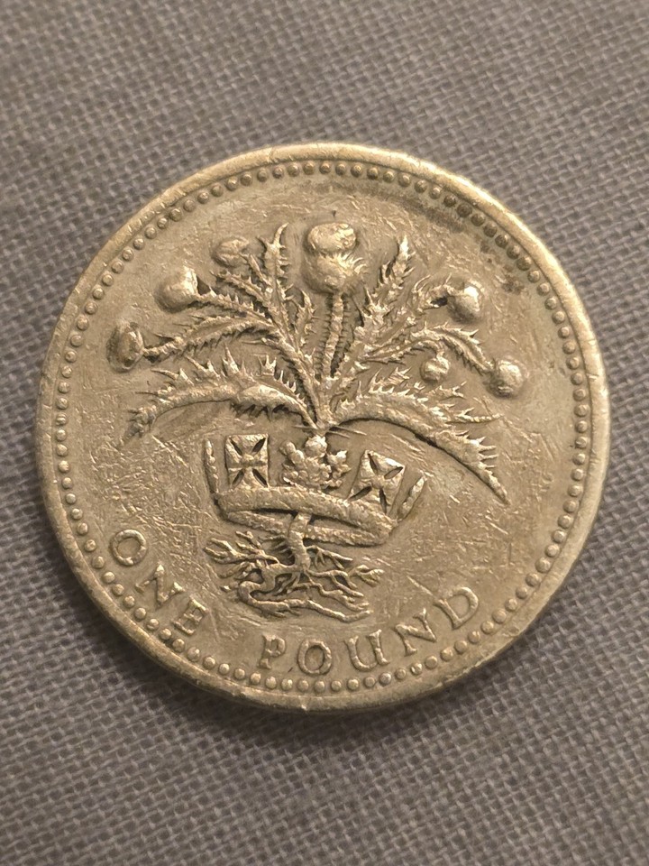 £1 Coin 1984 rare 1 pound coin NEMO ME IMPUNE LACESSIT | eBay UK